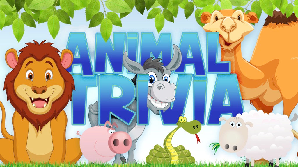 Animal Trivia On Screen Game – KidzMatter