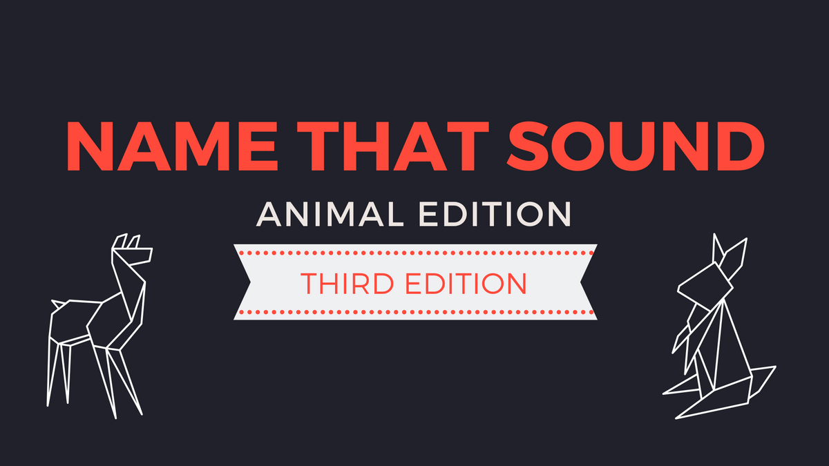 Name That Sound [Animal Edition 3] Crowd Breaker Video – KidzMatter