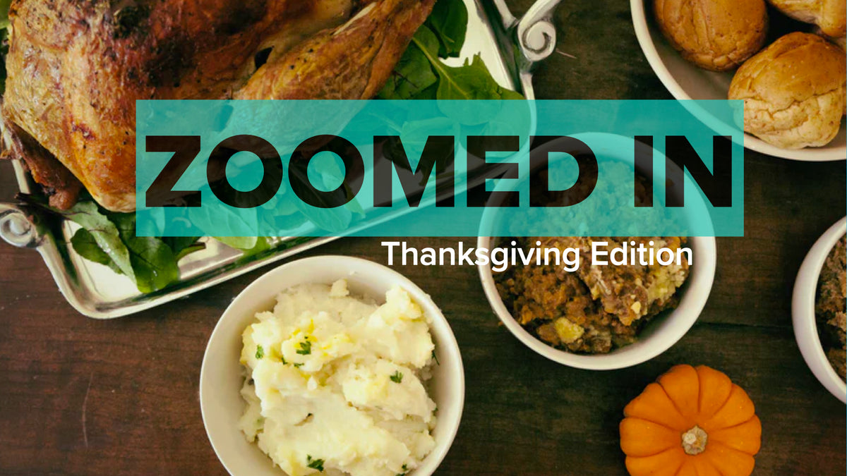 Zoomed In [Thanksgiving Version] On Screen Game – KidzMatter