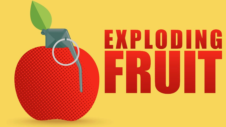 Exploding Fruit Crowd Breaker Video – KidzMatter