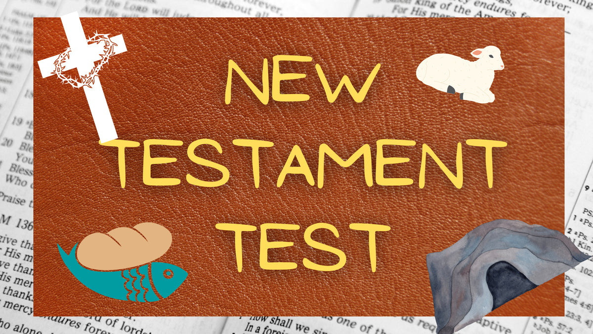 New Testament Test Volume 1 – KidzMatter