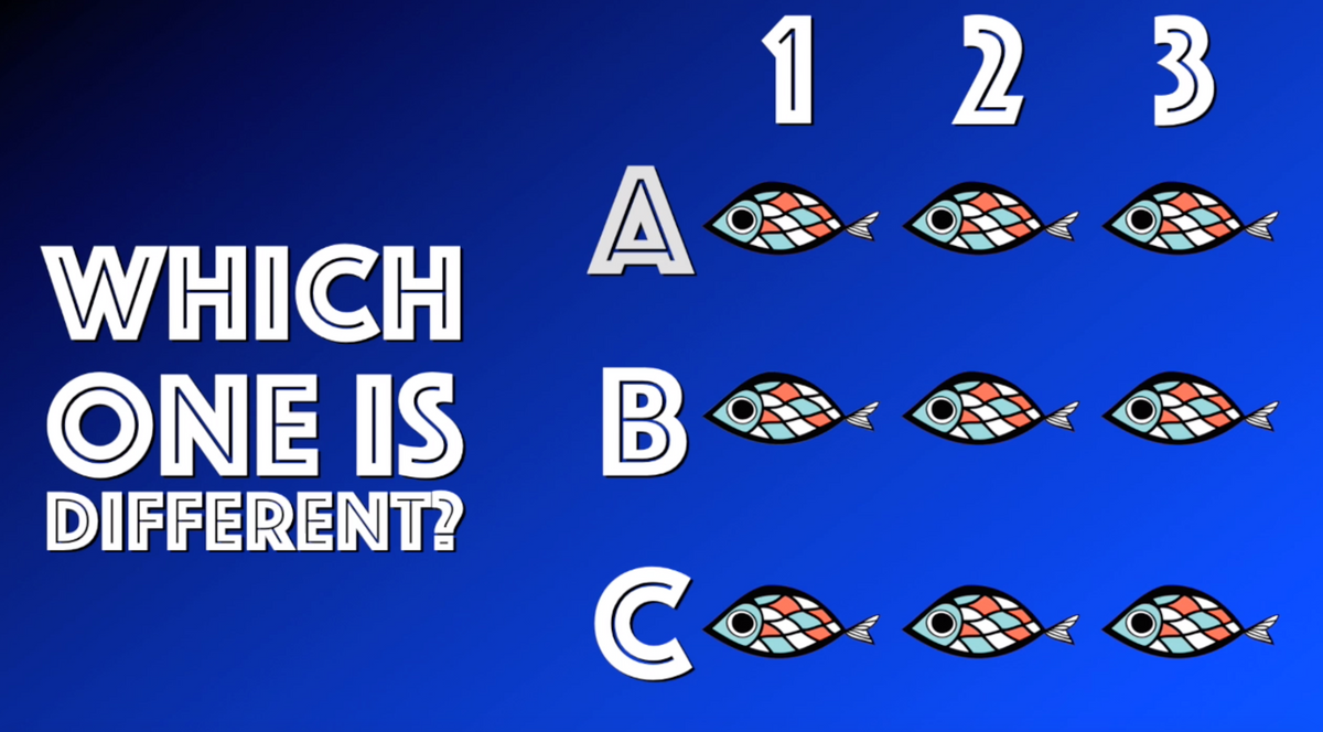 Which One is Different? [Version 4] Crowd Breaker Game – KidzMatter