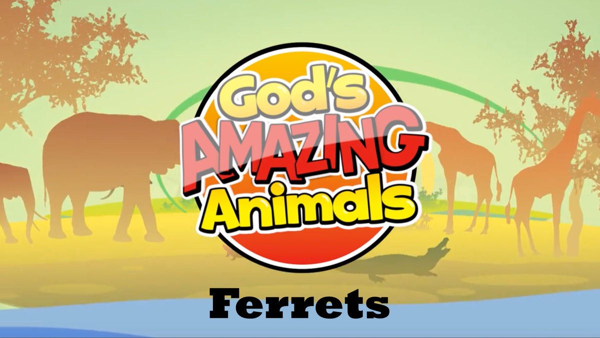 God's Amazing Animals Teaching Video: Ferrets – KidzMatter